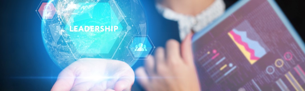 Mindset - Data-driven leadership development: transforming ...