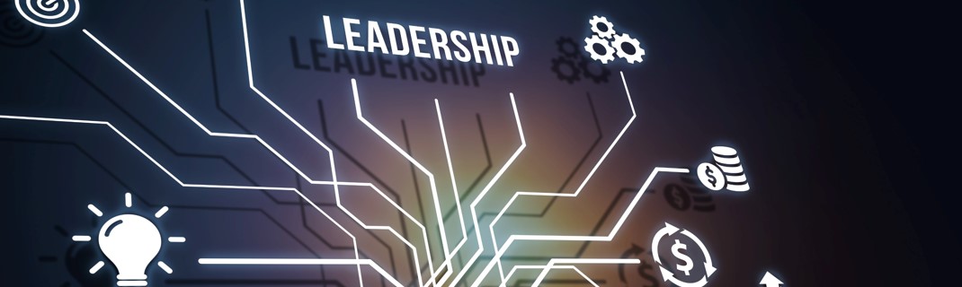 Mindset - Data-driven leadership development: transforming ...